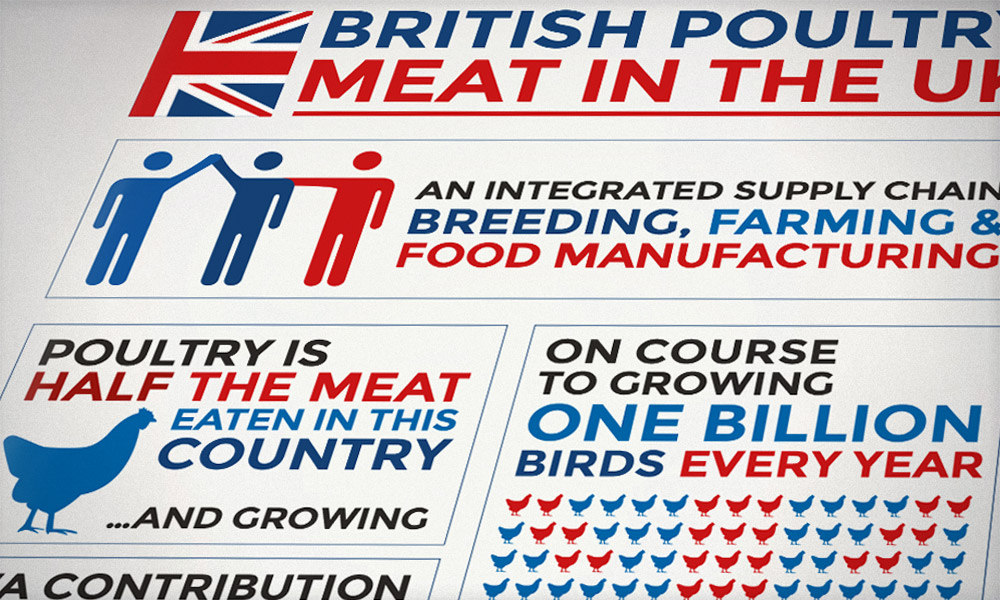 Writing our success story in even bolder colours - The British Poultry ...
