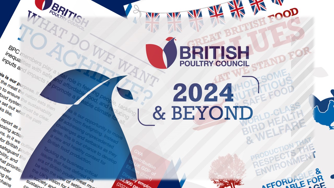 “How we get there” – setting out the path for British poultry - The ...